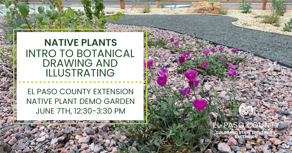Native Plant Programs – El Paso County Extension